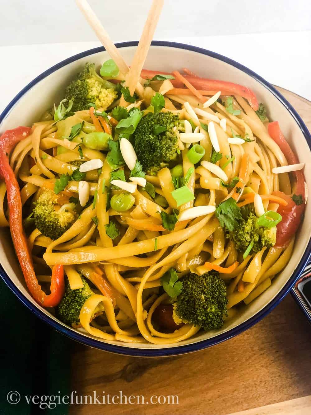 Loaded Vegetable Asian Noodle Stir-Fry - Veggie Fun Kitchen
