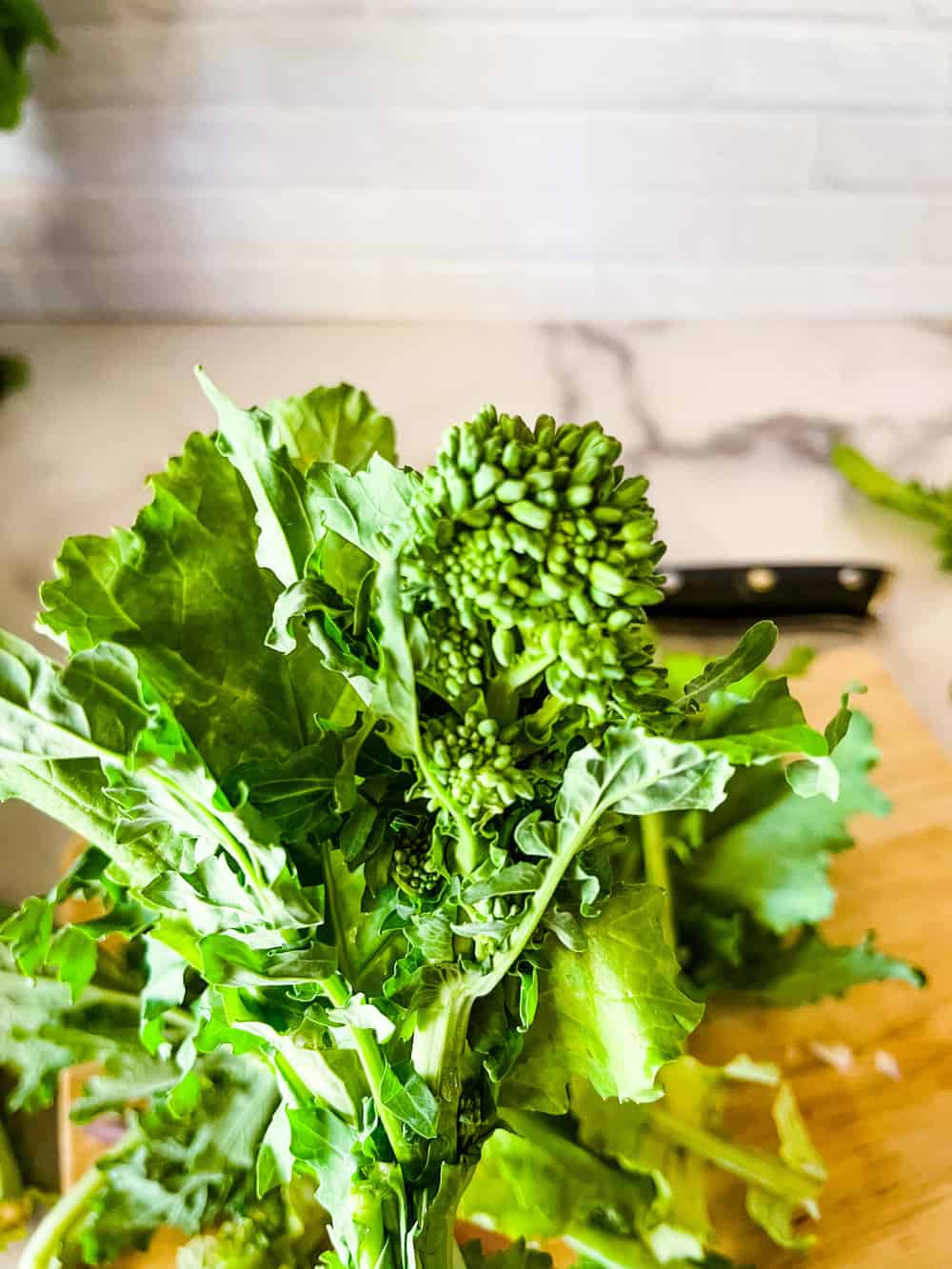 Broccoli Rabe Pasta with Balsamic Vinegar, Oil-Free - Veggie Fun Kitchen