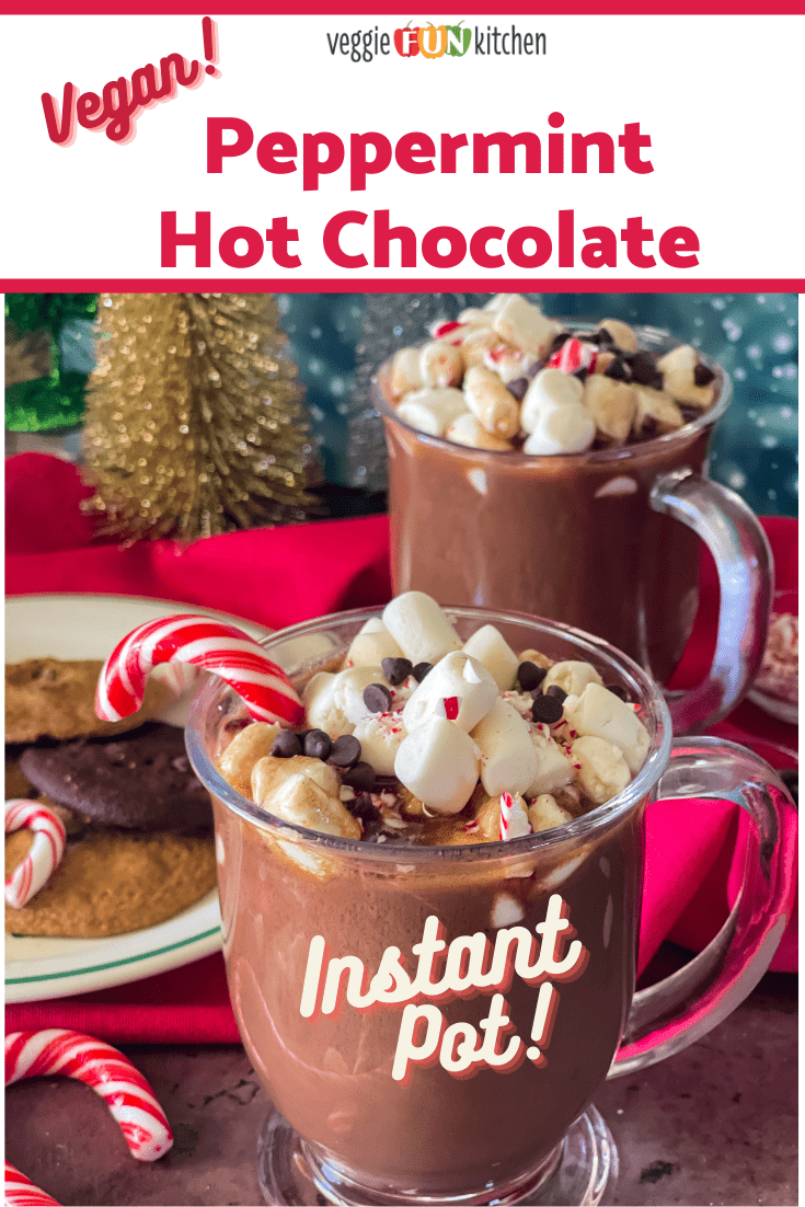 Instant Pot Peppermint Hot Chocolate, Dairy-Free - Veggie Fun Kitchen