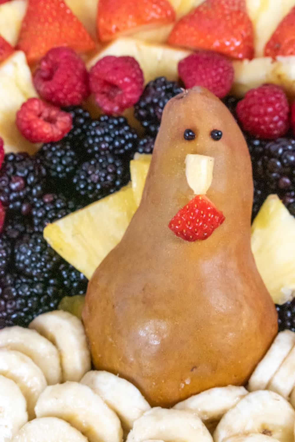 Fruit Turkey platter - Veggie Fun Kitchen