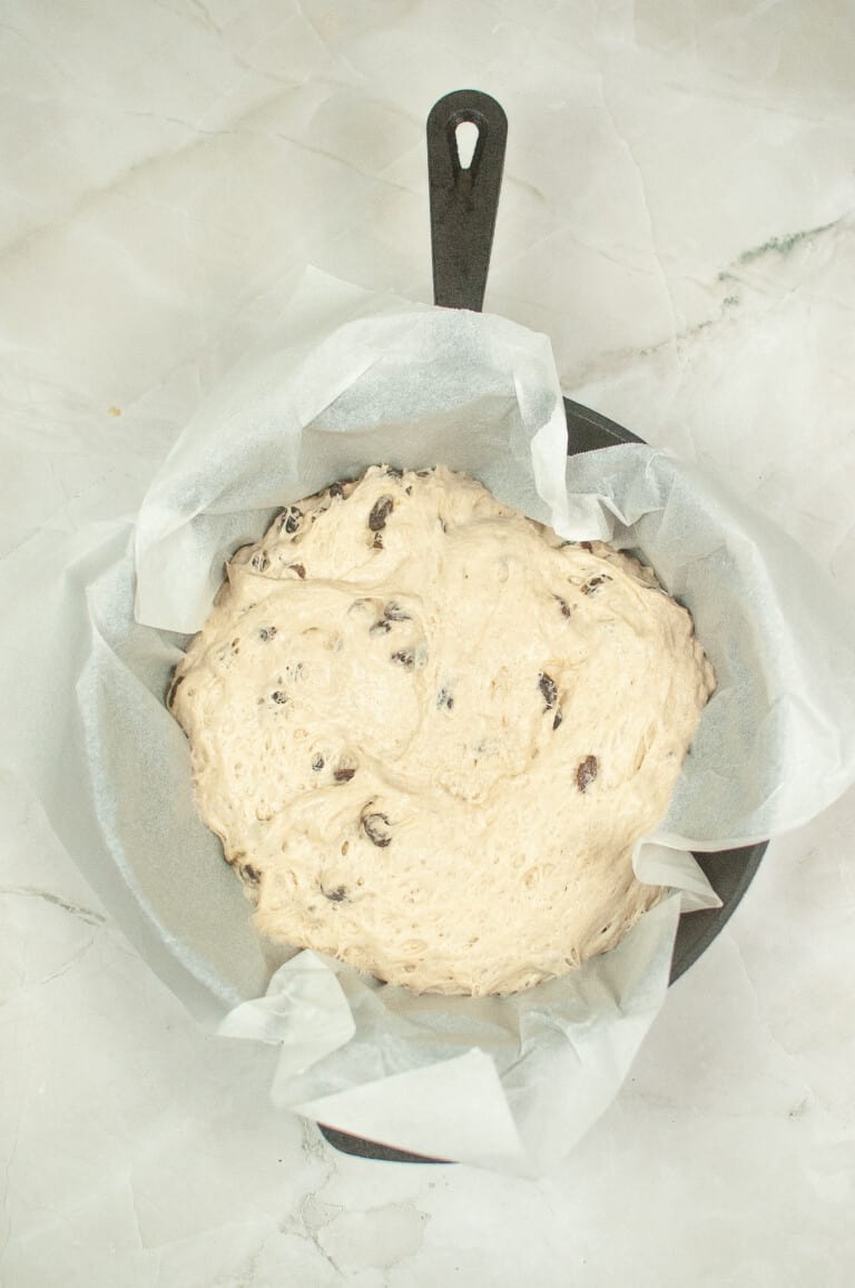 Cinnamon Raisin No Knead Bread, the Two Hour Method - Veggie Fun Kitchen
