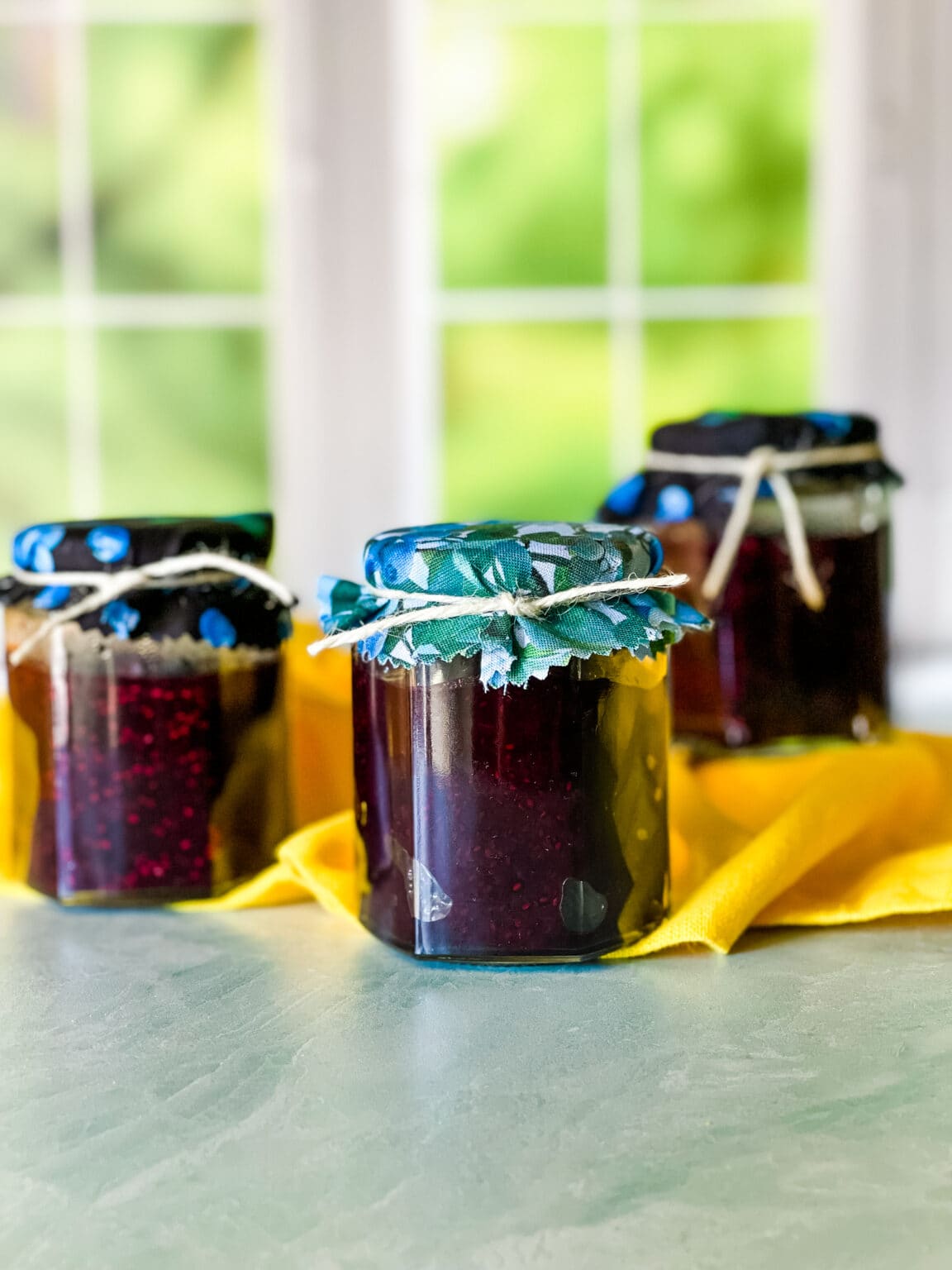 Blueberry Chia Seed Jam - Veggie Fun Kitchen