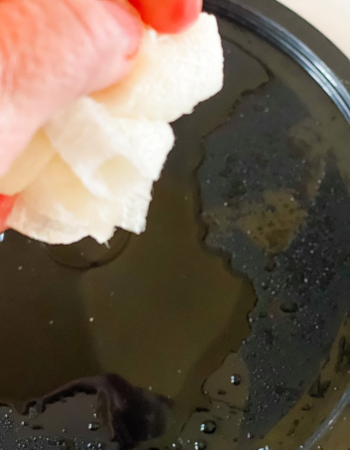 Vegan Greek Yogurt from Scratch, Made in the Instant Pot - Veggie Fun ...
