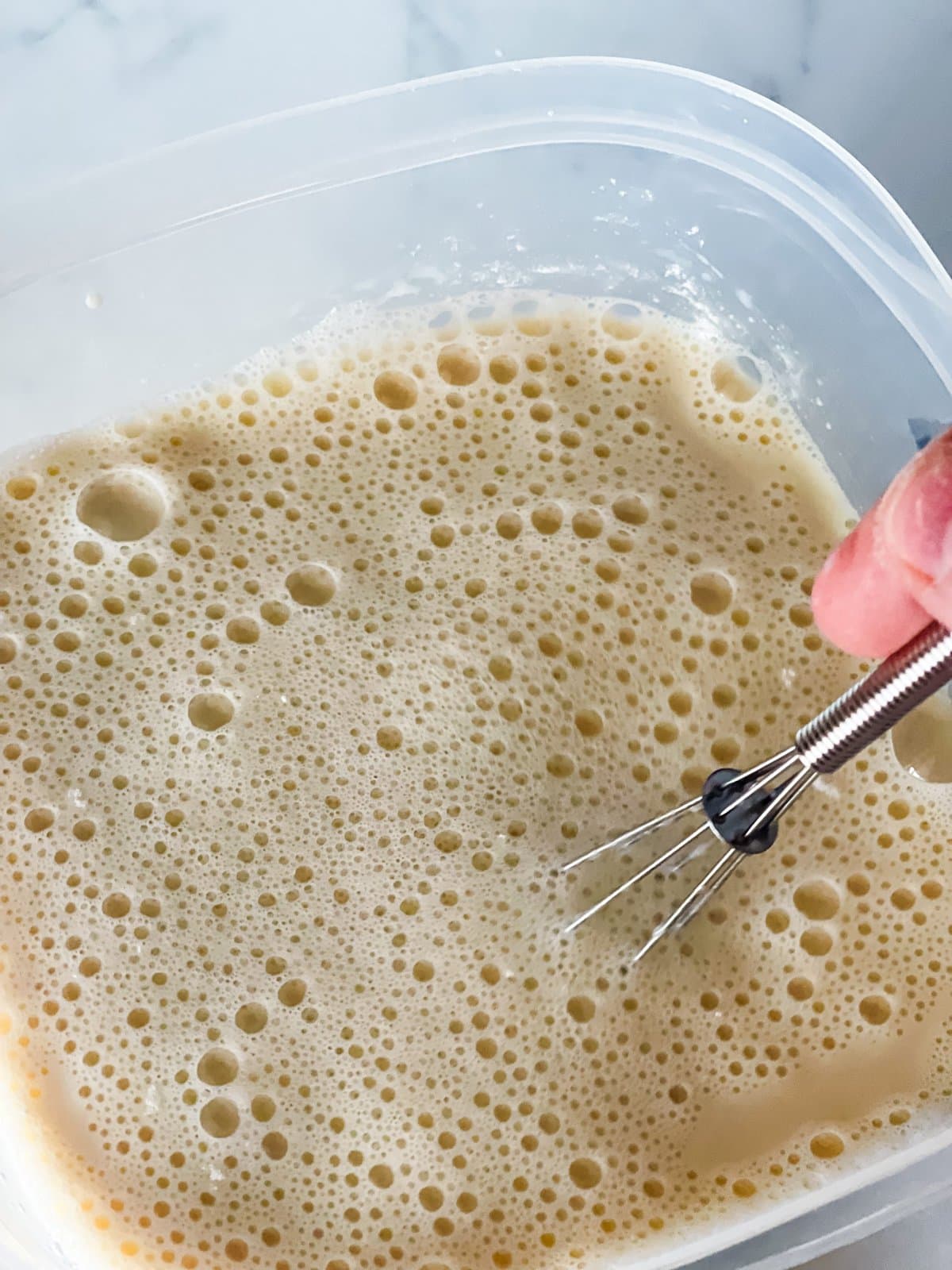 Vegan Greek Yogurt from Scratch, Made in the Instant Pot - Veggie Fun ...